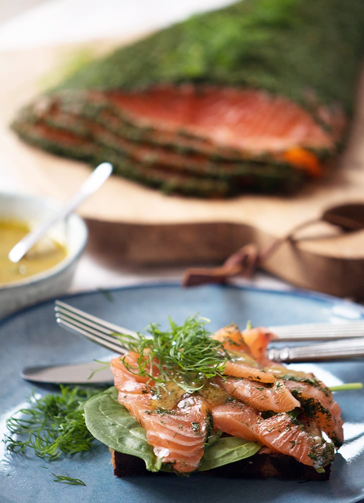 Gravad laks med rævesauce - Skøn opskrift perfekt til forret jul og påske