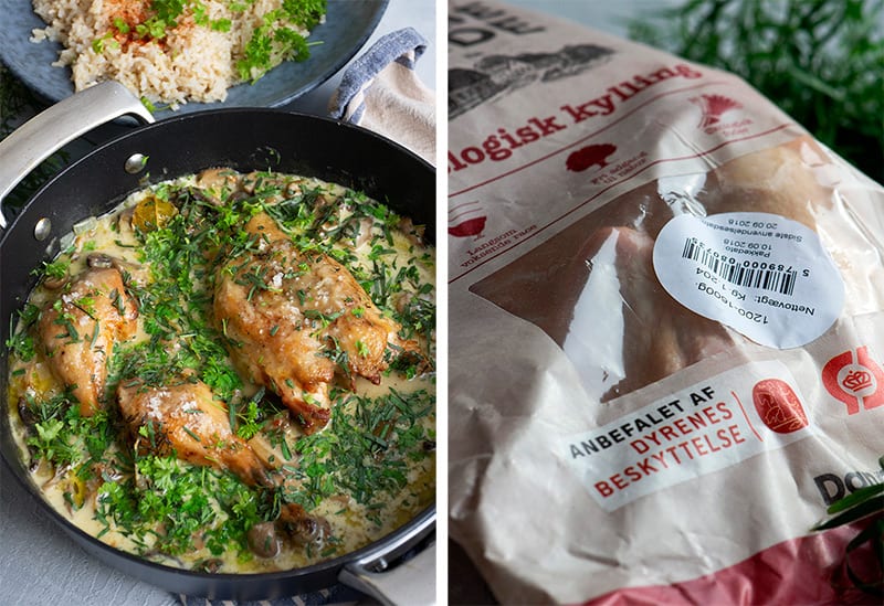 Kylling med hvidvin, fløde, svampe og urter - få en lækker opskrift her